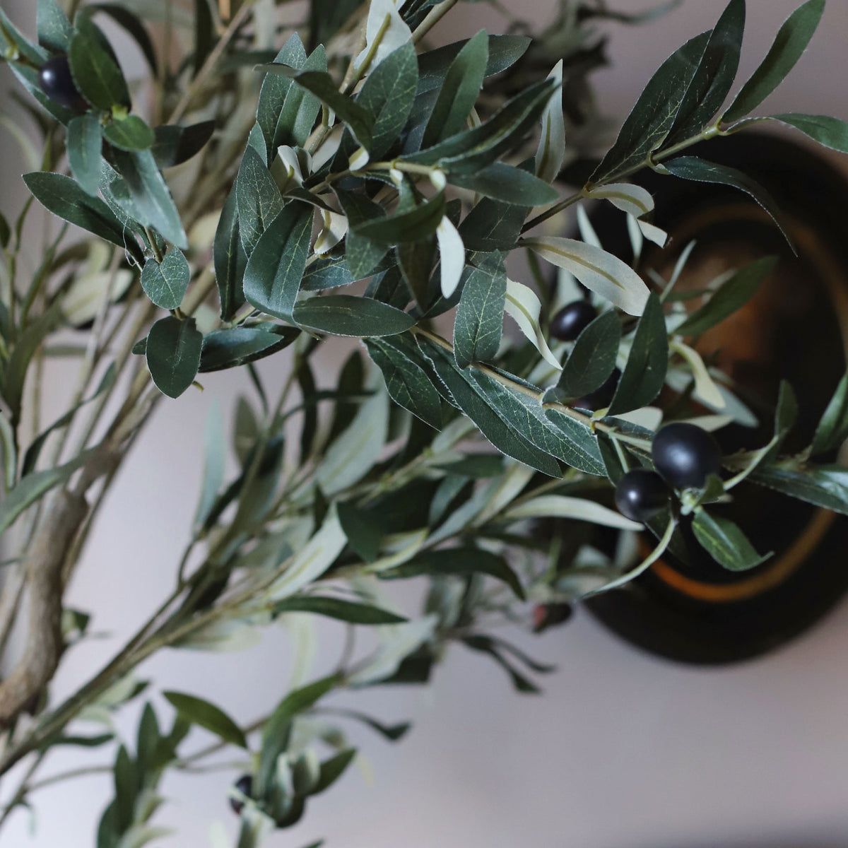 How to Make Your Olive Tree More Realistic with 5 Tips – REALEAD