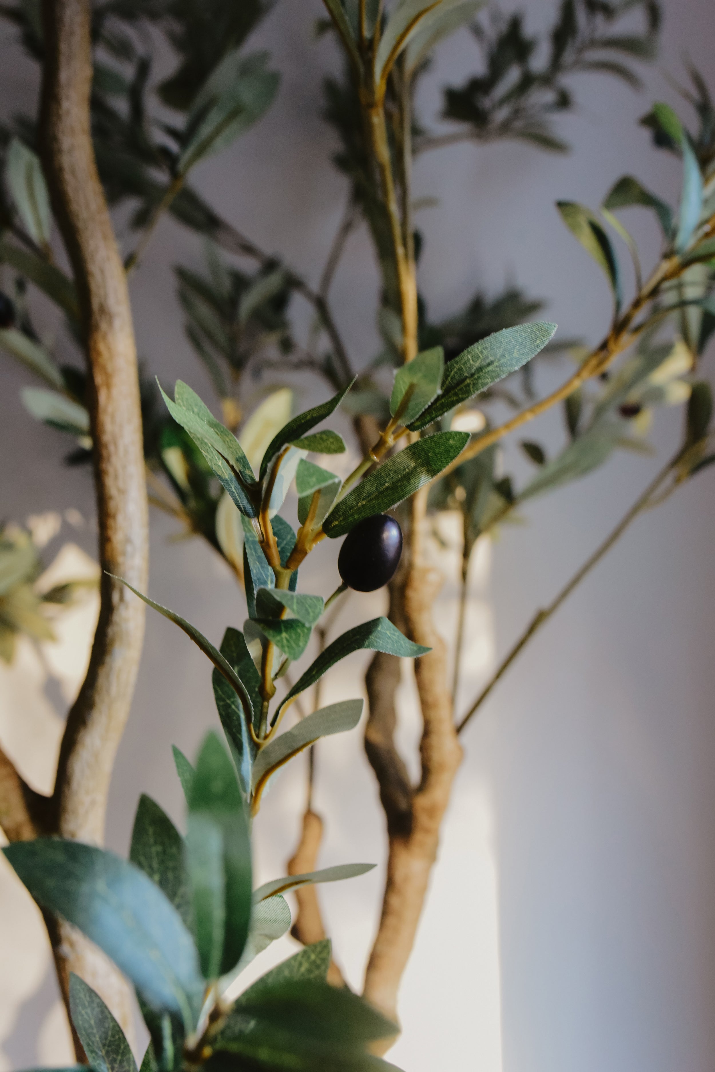 REALEAD|Enhance Your Home Decor with Artificial Trees